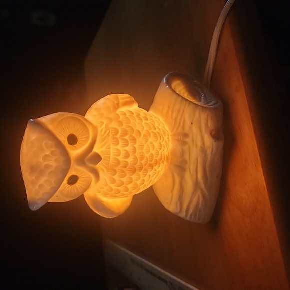 Source Unknown | Accents | Vintage Owl Figural Night Light W Cord ...